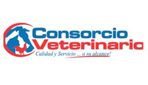 Nosotros | Convet Centro